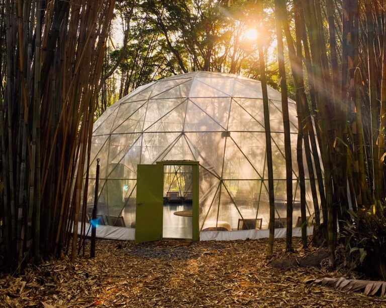 Best Wellness Retreats in the World